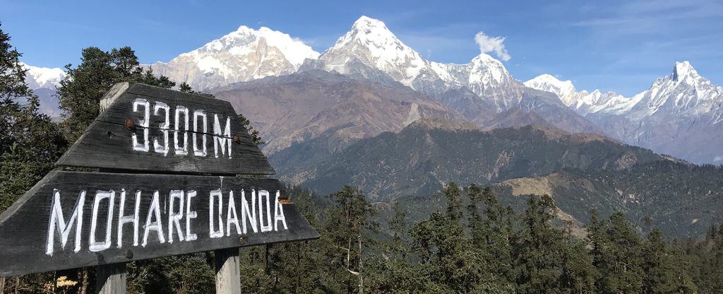 Mohare Danda Trek – Offbeat Trekking Trail with Stunning Himalayan Views